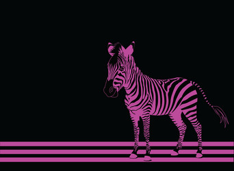 Pink Zebra Stripes Vector Images (over 990)