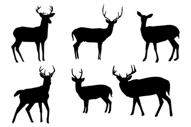 Deer head silhouette free Royalty Free Vector Image