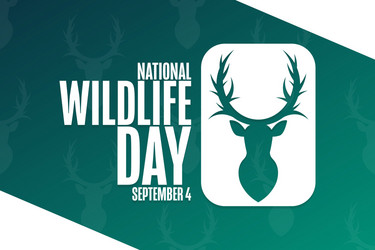 Wildlife Vector Images (over 590,000)
