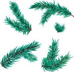 Pine Sprig Vector Images (over 880)