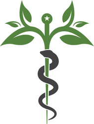 Caduceus Medical Symbol Royalty Free Vector Image