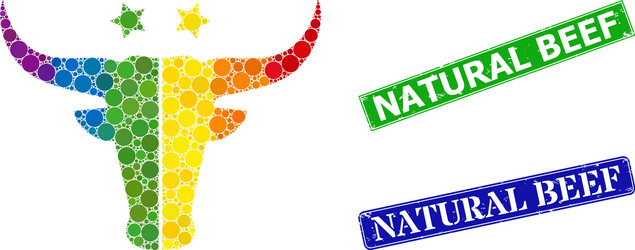 Textured made with beef meat badges and rainbow Vector Image