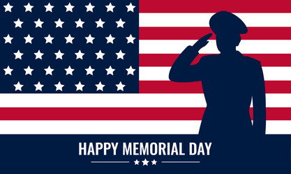 Veterans day memorial usa flag Royalty Free Vector Image