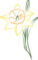 Bluebell flower on white background Royalty Free Vector