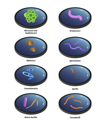 Bacteria Vector Images (over 160,000)