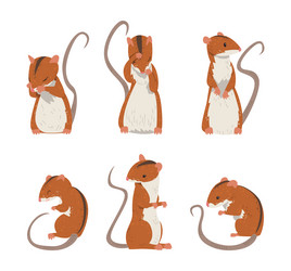 Rodent Vector Images (over 30,000)