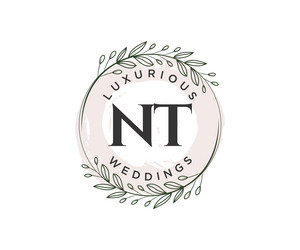 Nt initials letter wedding monogram logos Vector Image
