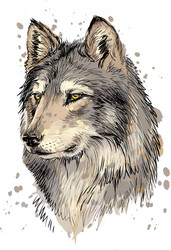 Timber Wolf Vector Images (over 250)