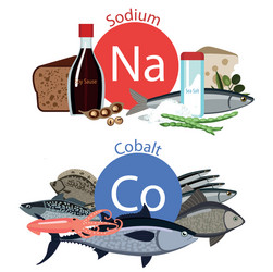 Cartoon sodium or natrium mineral micronutrient Vector Image