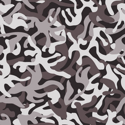 Abstract camouflage seamless pattern camo Vector Image