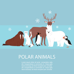 Arctic animals and north pole cartoon banners set Vector Image