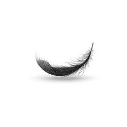Angel Wings Curved Vector Images (over 520)