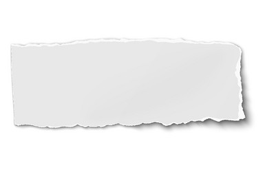 White Paper Oblong Vector Images (over 320)