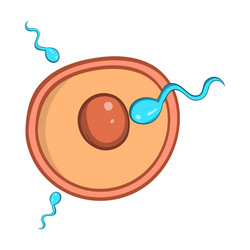 Fertilization of egg icon cartoon style Royalty Free Vector