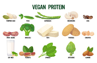 Protein rich food flat icons set Royalty Free Vector Image