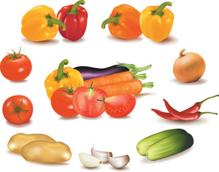 Fresh realistic group of vegetables healthy food Vector Image
