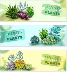 Succulent Vector Images (over 38,000)
