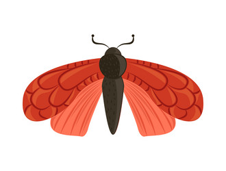 Butterfly flat style Royalty Free Vector Image