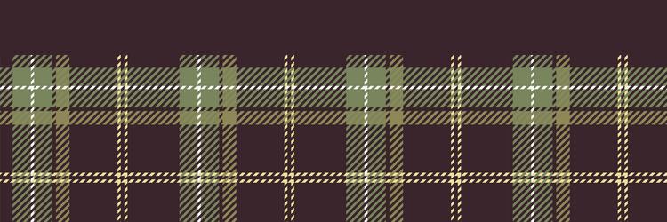 Military green check plaid border seamless Vector Image