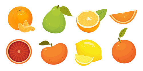 Citrus Vector Images (over 96,000)