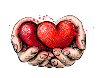 Human hands hold a red heart - symbol love Vector Image