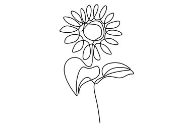 Continuous Line Sunflower Vector Images (76)