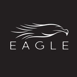 Colibri bird logo abstract hummingbird icon Vector Image