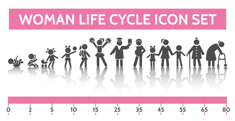 Human Life Cycle & Aging Stages Royalty Free Vector