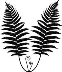 Made in new zealand silver fern logo icon Vector Image