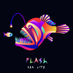 Flash fish Royalty Free Vector Image - VectorStock