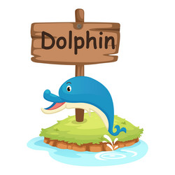 Alphabet letter d-dolphin drum duck Royalty Free Vector