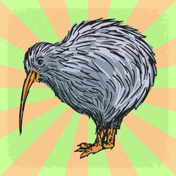 Kiwi Bird Vector Images (over 1,100)