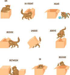 English prepositions of place visual aid Vector Image