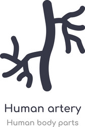 Two color human artery icon from body parts Vector Image