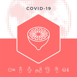 Fruit Cross Section Vector Images (over 1,500)