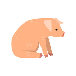Pig Side View Vector Images (over 560)
