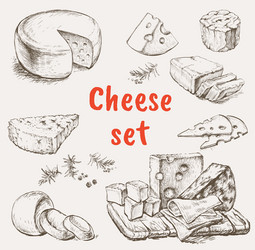 Emmental cheese drawing hand drawn food sketch Vector Image