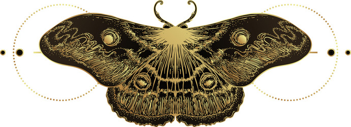 Golden moth over sacred geometry sign isolated Vector Image