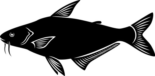 Pangasius Fillet Vector Images (25)