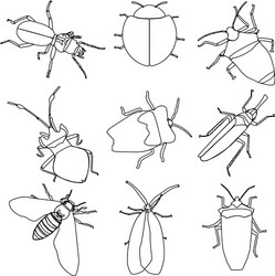 Insect 2d designs Royalty Free Vector Image - VectorStock
