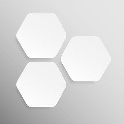 Paper banner design mockup hexagon Royalty Free Vector Image