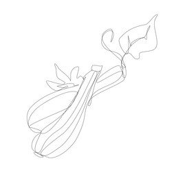 Zucchini Outline Vector Images (over 510)