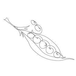 Peas Line Drawing Vector Images (over 830)