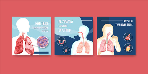 Respiratory flyer design with human anatomy Vector Image
