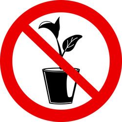 Do not pluck plants forbidden red sign no picking Vector Image
