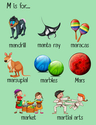 Different words begin with letter m Royalty Free Vector