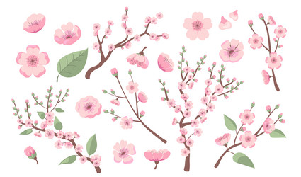 Sakura Vector Images (over 31,000)