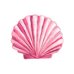 Cute bright pink cartoon seashell icon colorful Vector Image