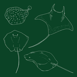 Cartoon manta ray numb-fish Royalty Free Vector Image