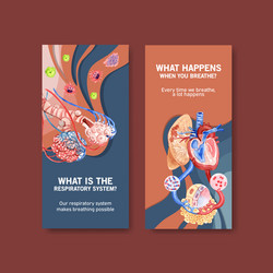 Respiratory flyer design with human anatomy Vector Image